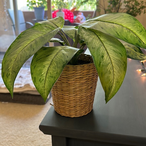 Threshold | Other | Target Threshold Plant Green Leaf In Basket | Poshmark